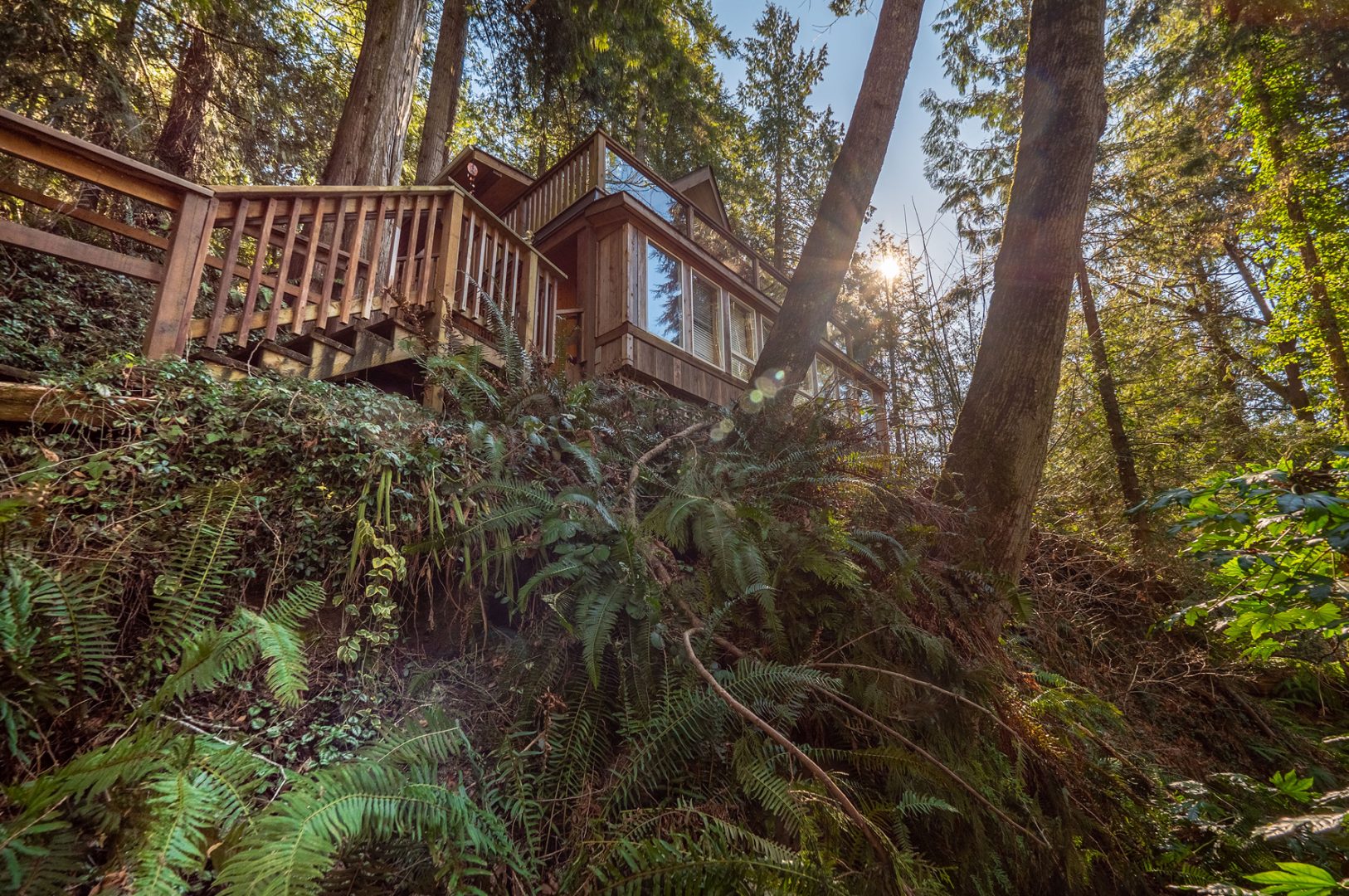 Gallery – Treehouse Cottage